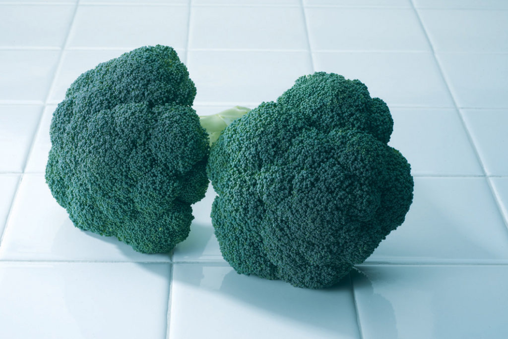 Broccoli - Sakata Home Grown