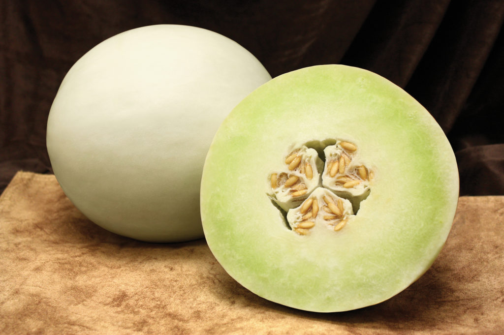 Melon - Sakata Home Grown