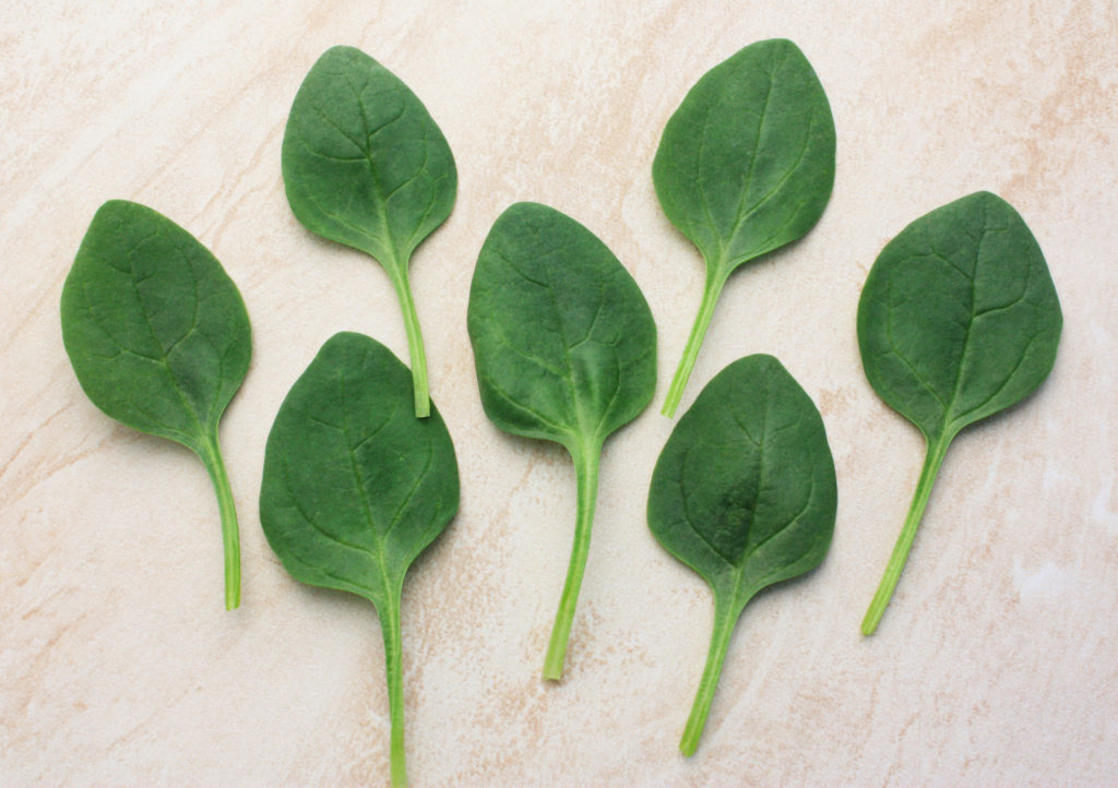 Spinach - Sakata Home Grown