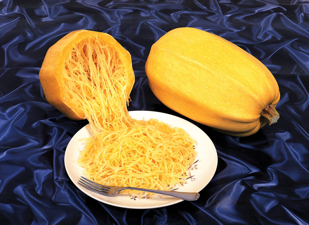 Vegetable Spaghetti - Sakata Home Grown
