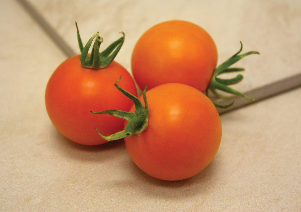 Tomato - Sakata Home Grown
