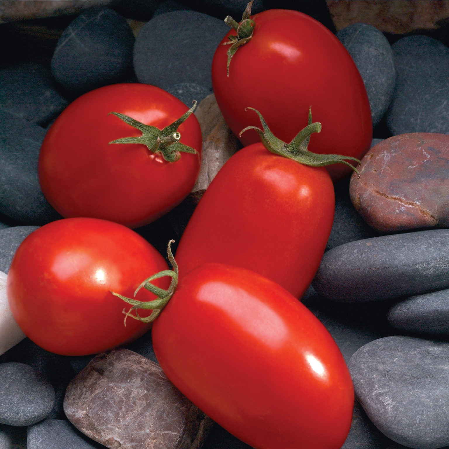 Tomato - Sakata Home Grown