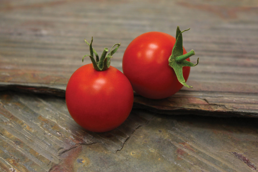 Tomato - Sakata Home Grown