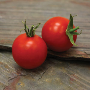 Tomato - Sakata Home Grown