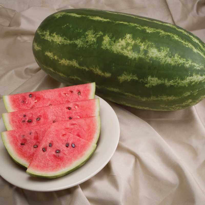 Watermelon - Sakata Home Grown