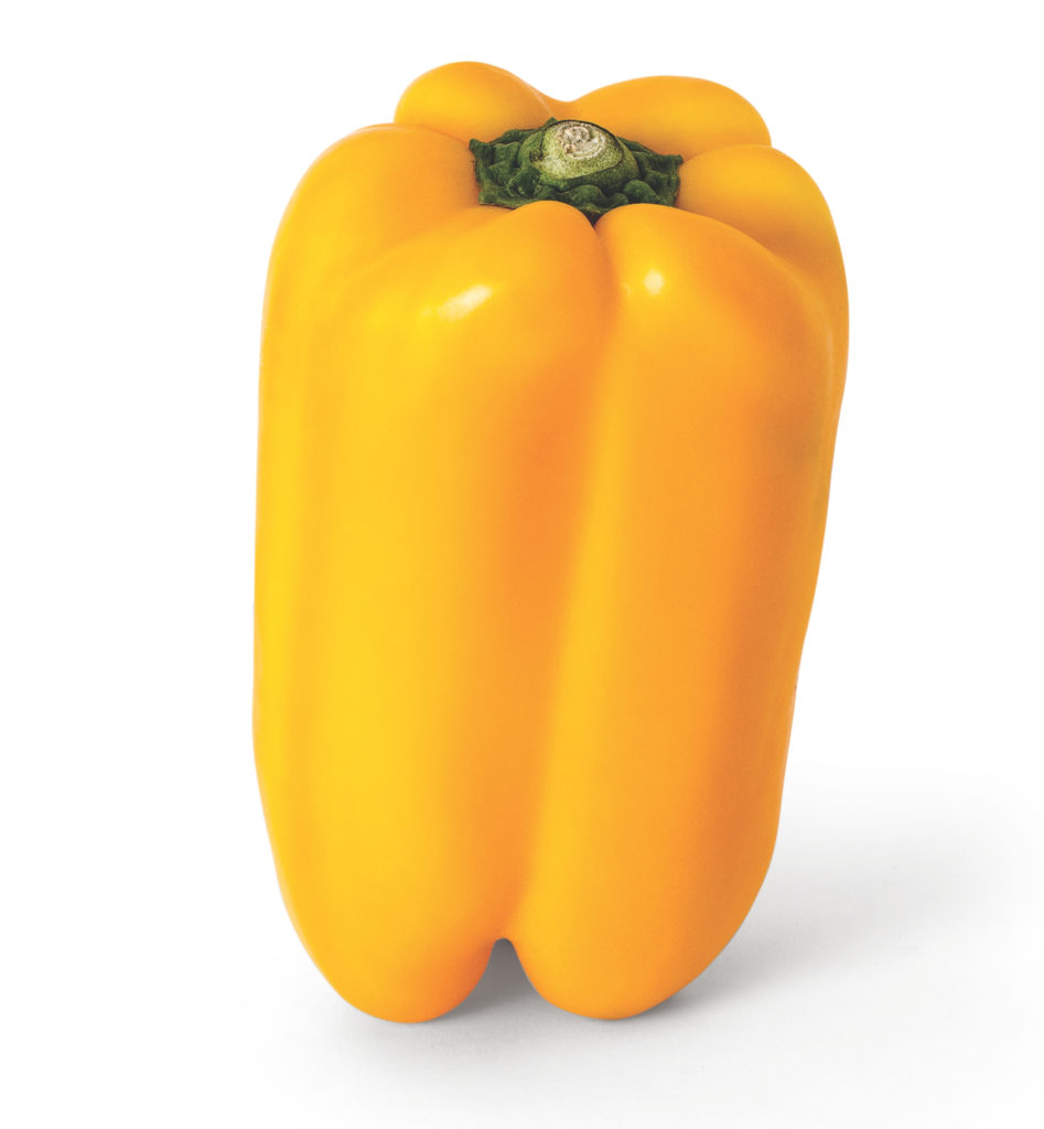 Pepper - Sakata Home Grown