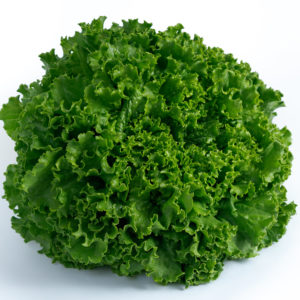 Lettuce - Sakata Home Grown