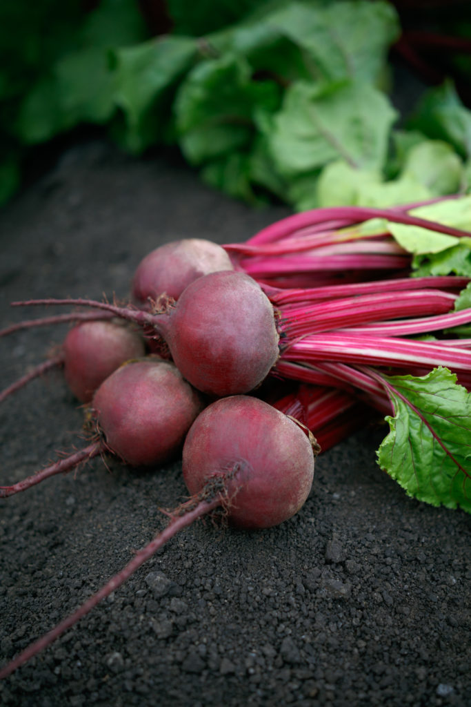 Azuma - Sakata Home Grown